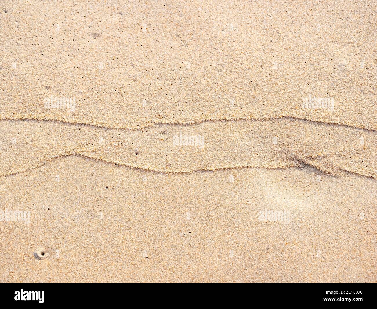 close up sand ground floor at the sea beach , background and textured ...