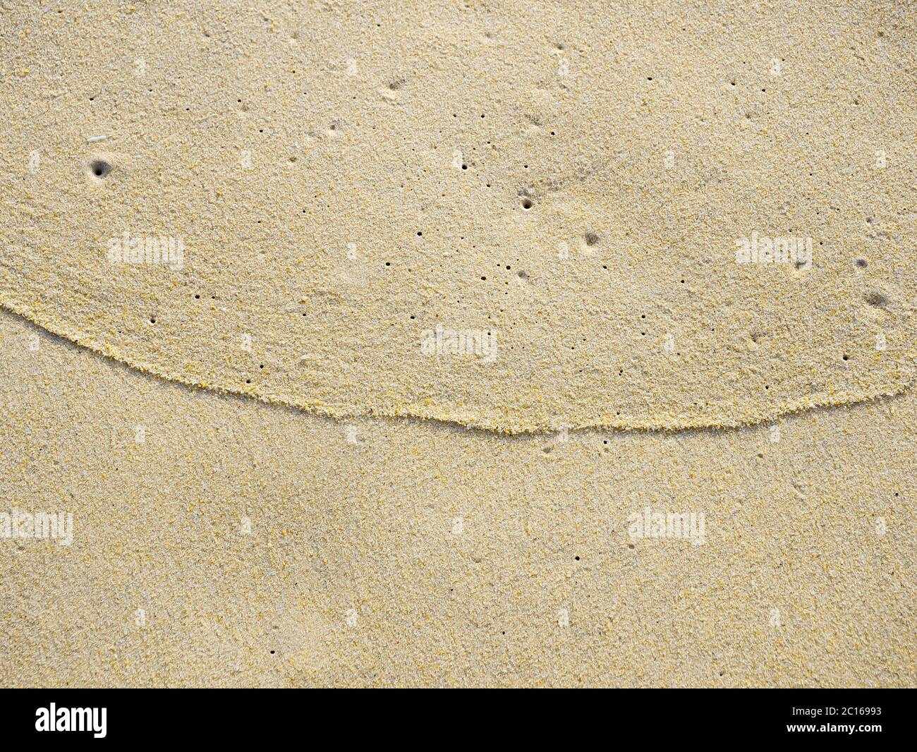 close up sand ground floor at the sea beach , background and textured ...