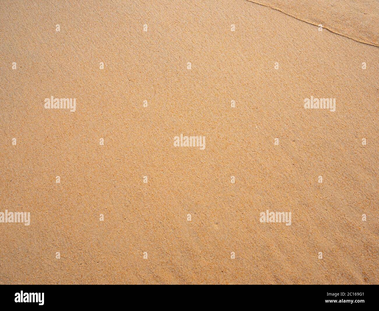close up sand ground floor at the sea beach , background and textured ...