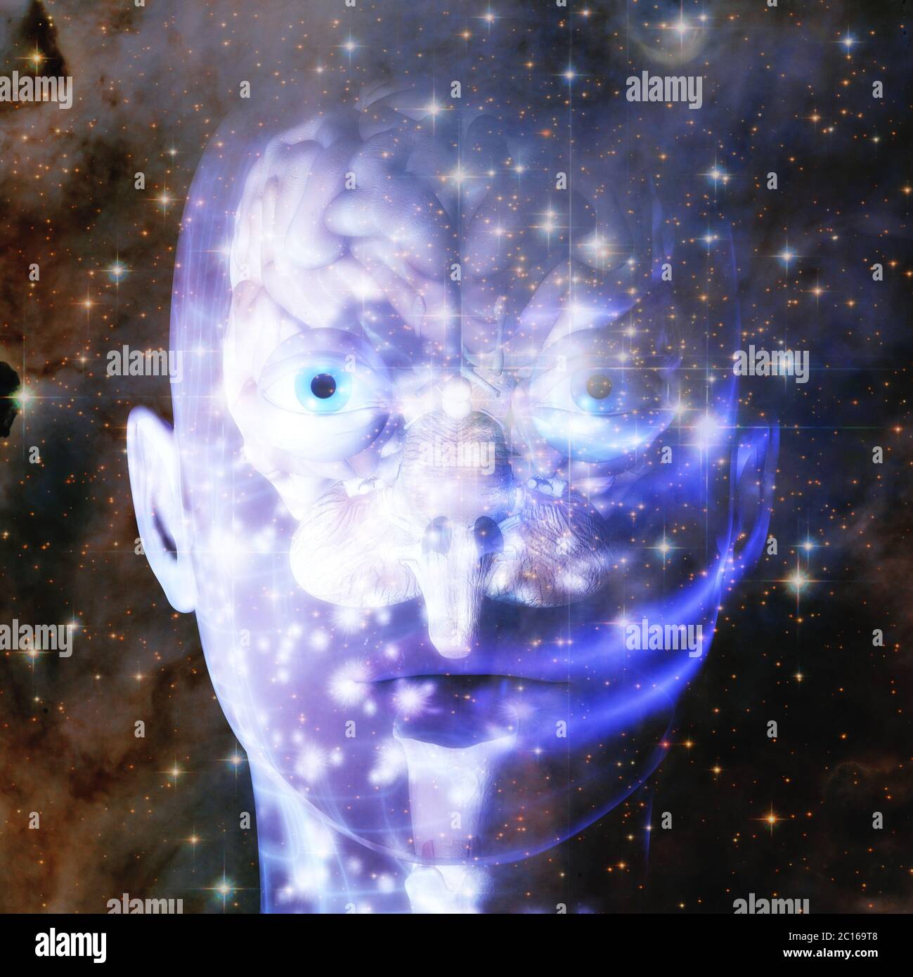 3D Rendering of a human Brain - Elements of this Image by NASA Stock ...