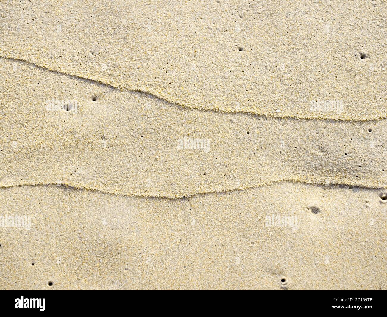 close up sand ground floor at the sea beach , background and textured ...