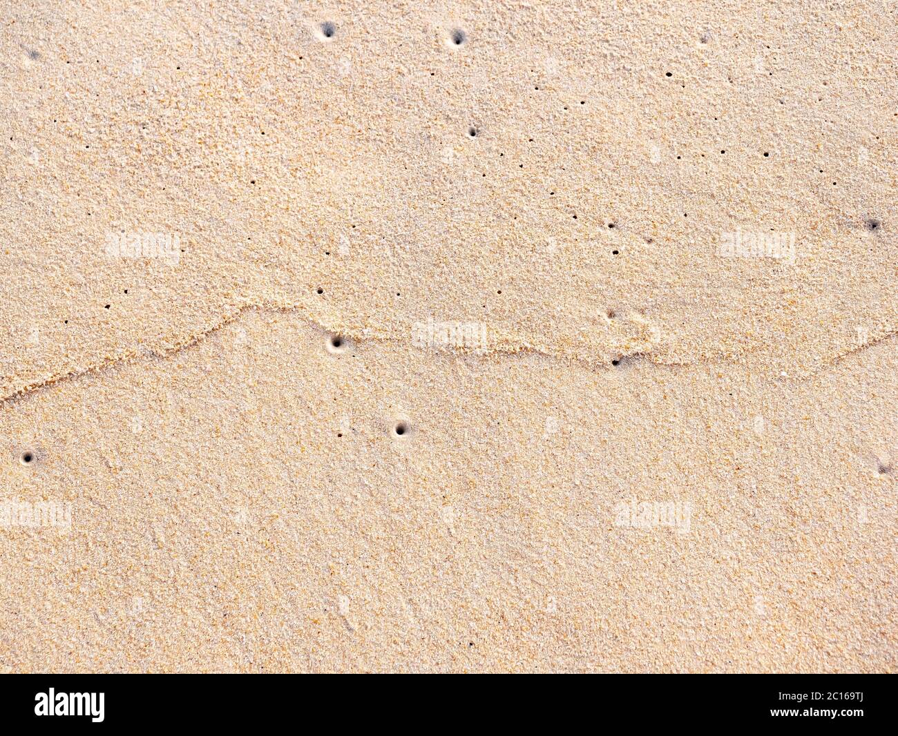 close up sand ground floor at the sea beach , background and textured ...