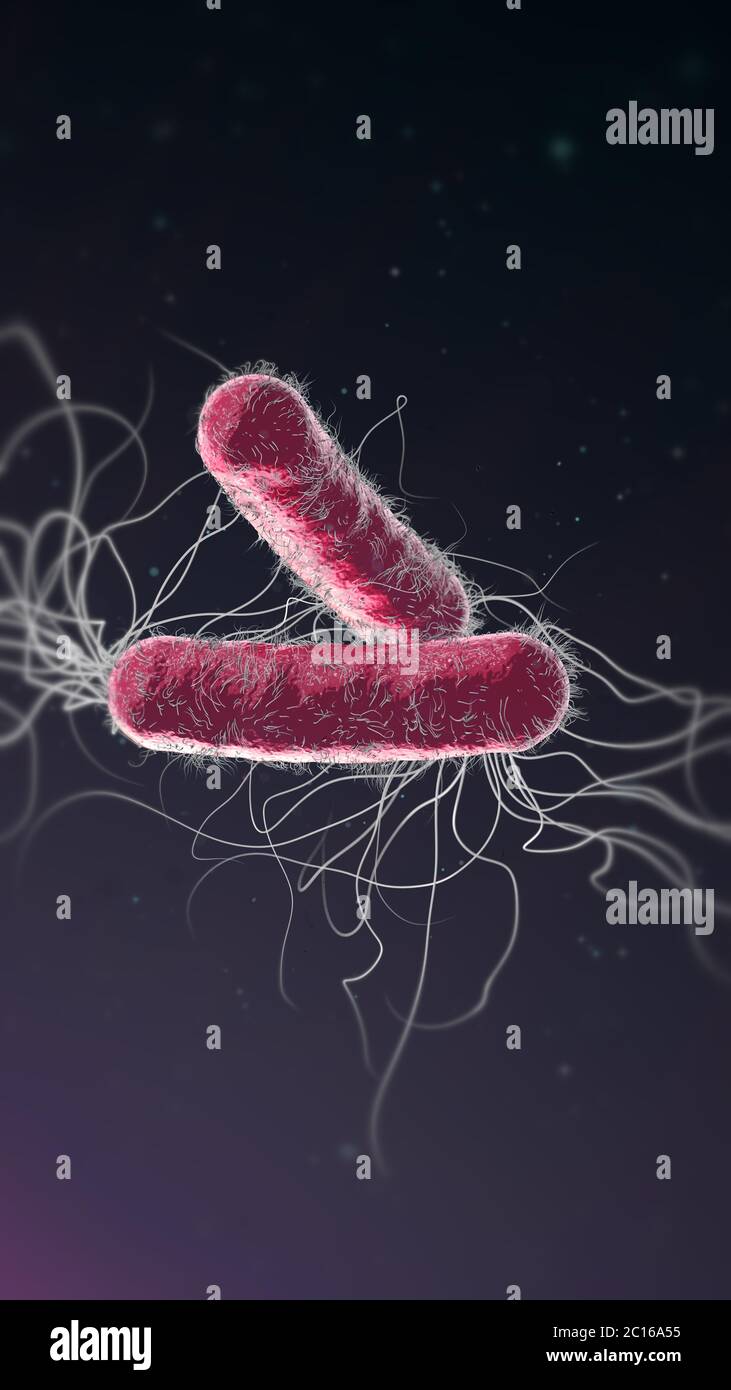 Violet colored multiple antibiotic resistant Pseudomonas aeruginosa ...