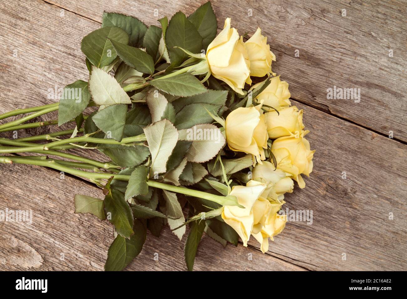 Roses top view hi-res stock photography and images - Alamy
