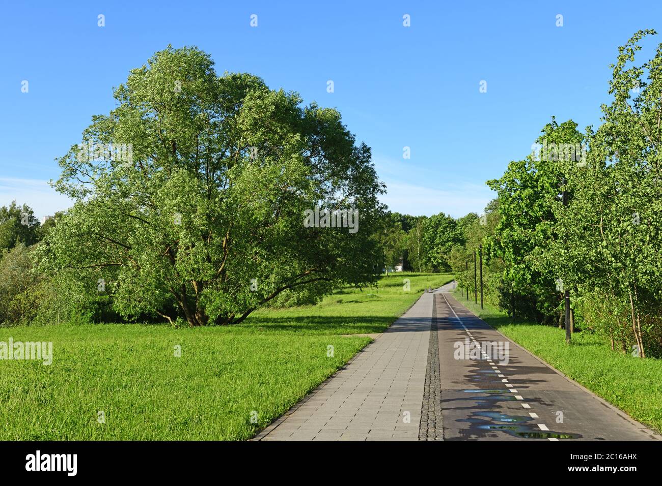 Pedestrian and bicycle paths in landscape park. Moscow, Russia Stock ...