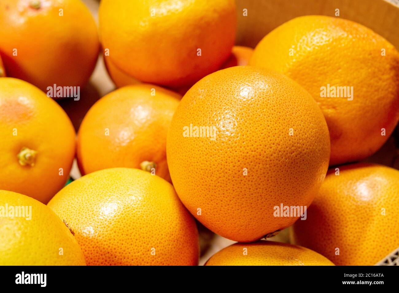 Grapefruit harvest. many grapefruit. A backdrop of grapefruits. Street ...