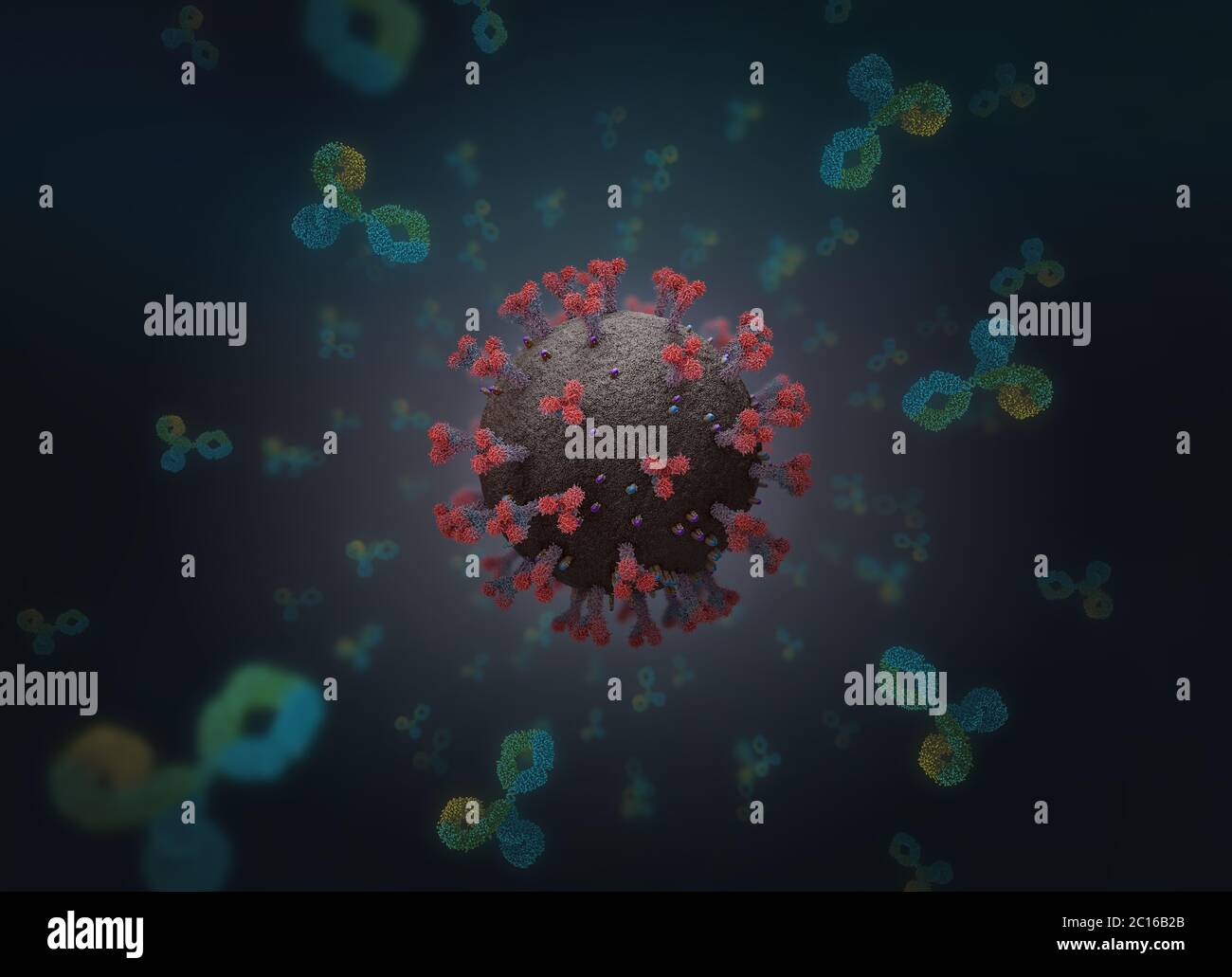Immunoglobulin or antibody proteins attack a virus pathogen cell - 3d ...