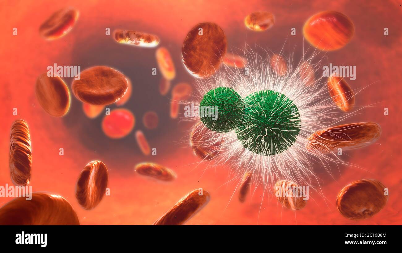 3d illustration of virus cells into the blood stream with blood cells ...