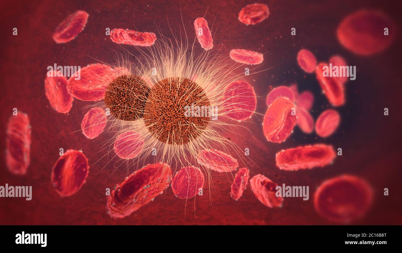 3d illustration of virus cells into the blood stream with blood cells ...