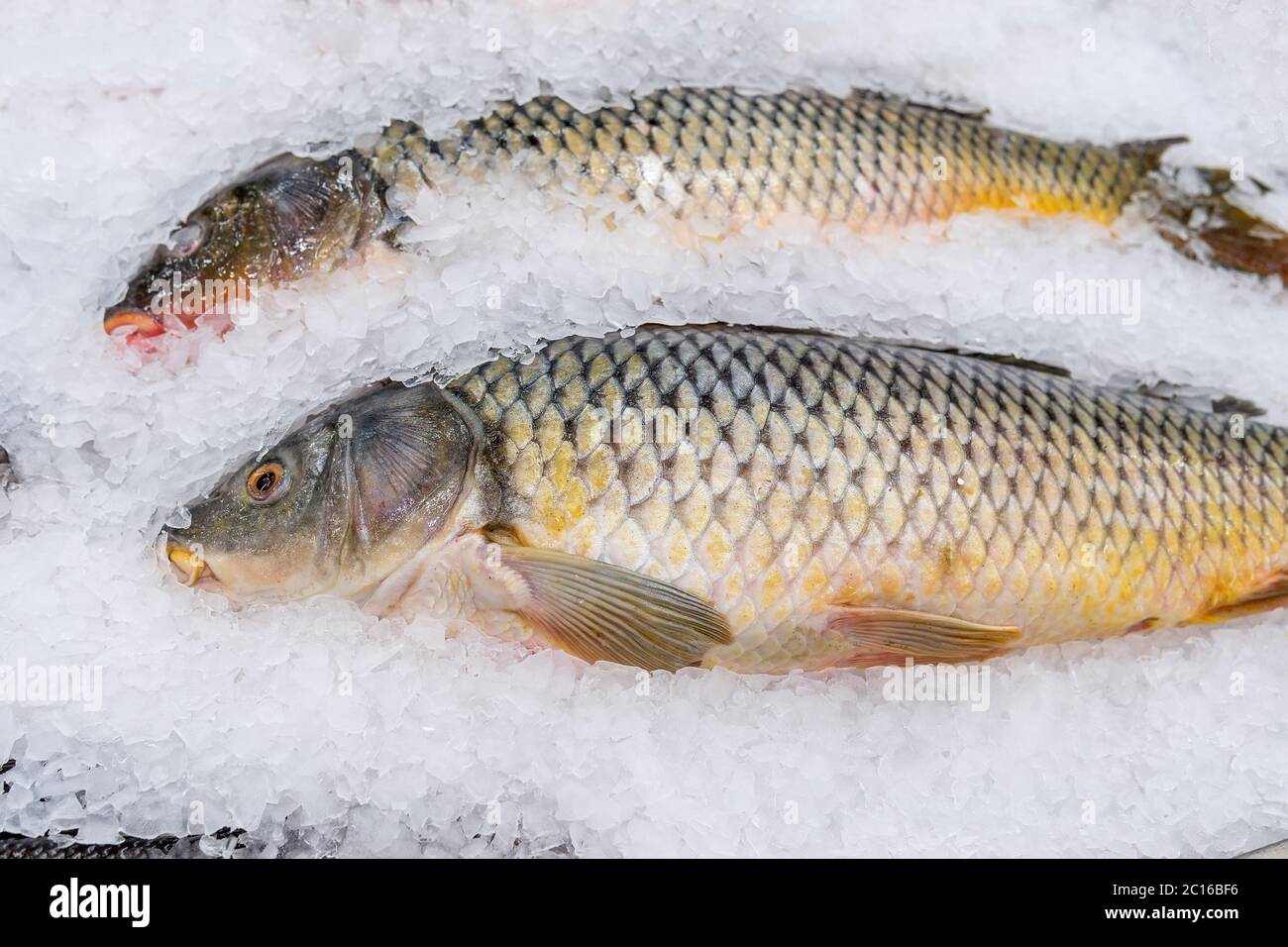 Lying on ice at the fish market hi-res stock photography and images - Alamy
