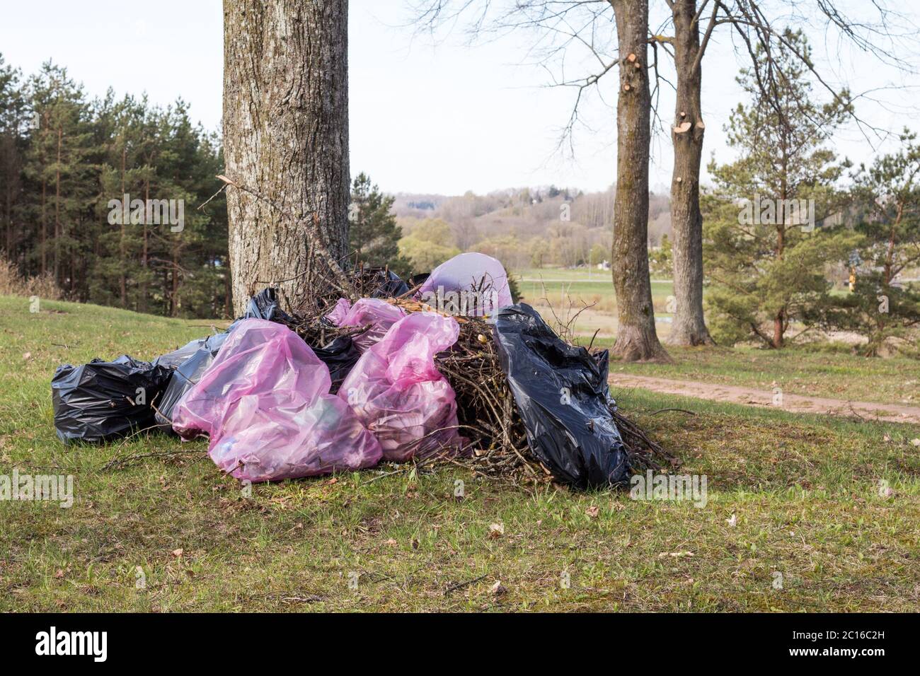 Spring cleaning forest hi-res stock photography and images - Alamy