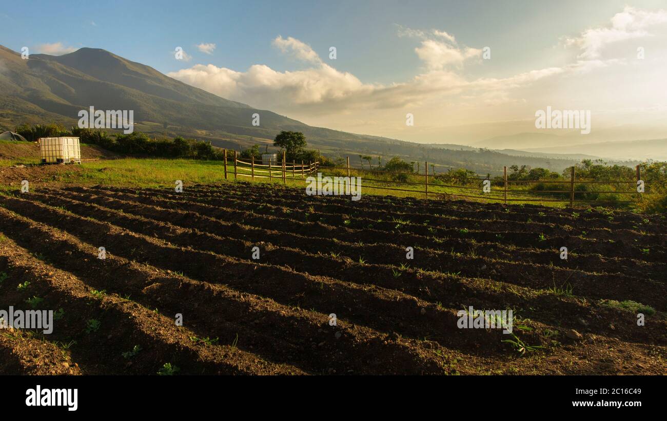 Season in ecuador hi-res stock photography and images - Alamy