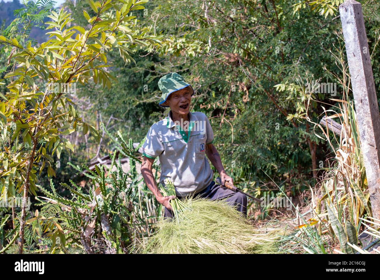An elderly, indigenous, ethnic Akha man. Chiang Rai Province, northern ...
