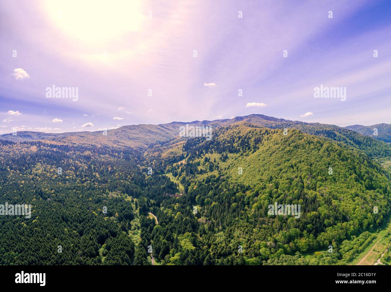 Tree landscape skyview hi-res stock photography and images - Alamy