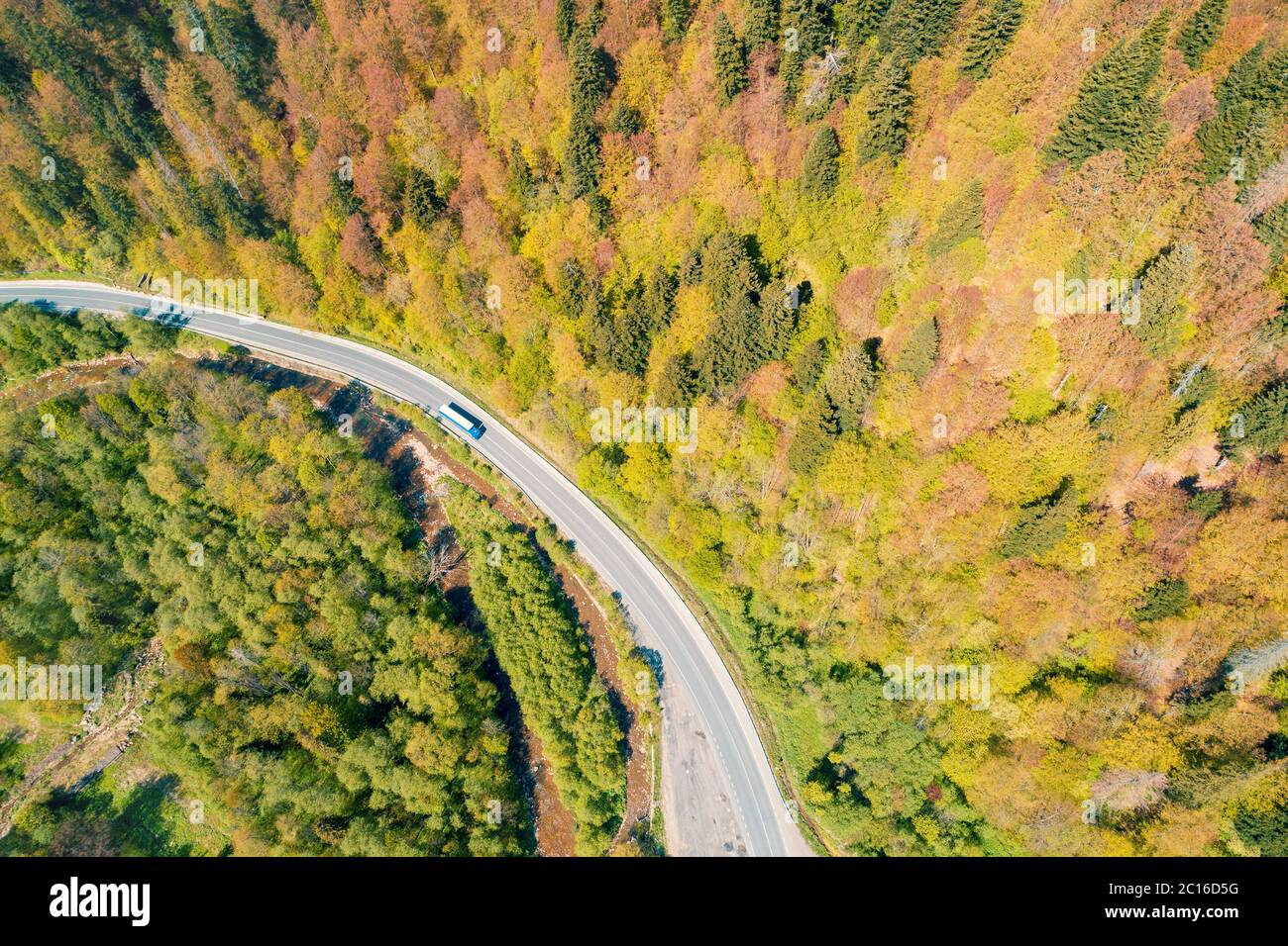 Tree skyview hi-res stock photography and images - Alamy