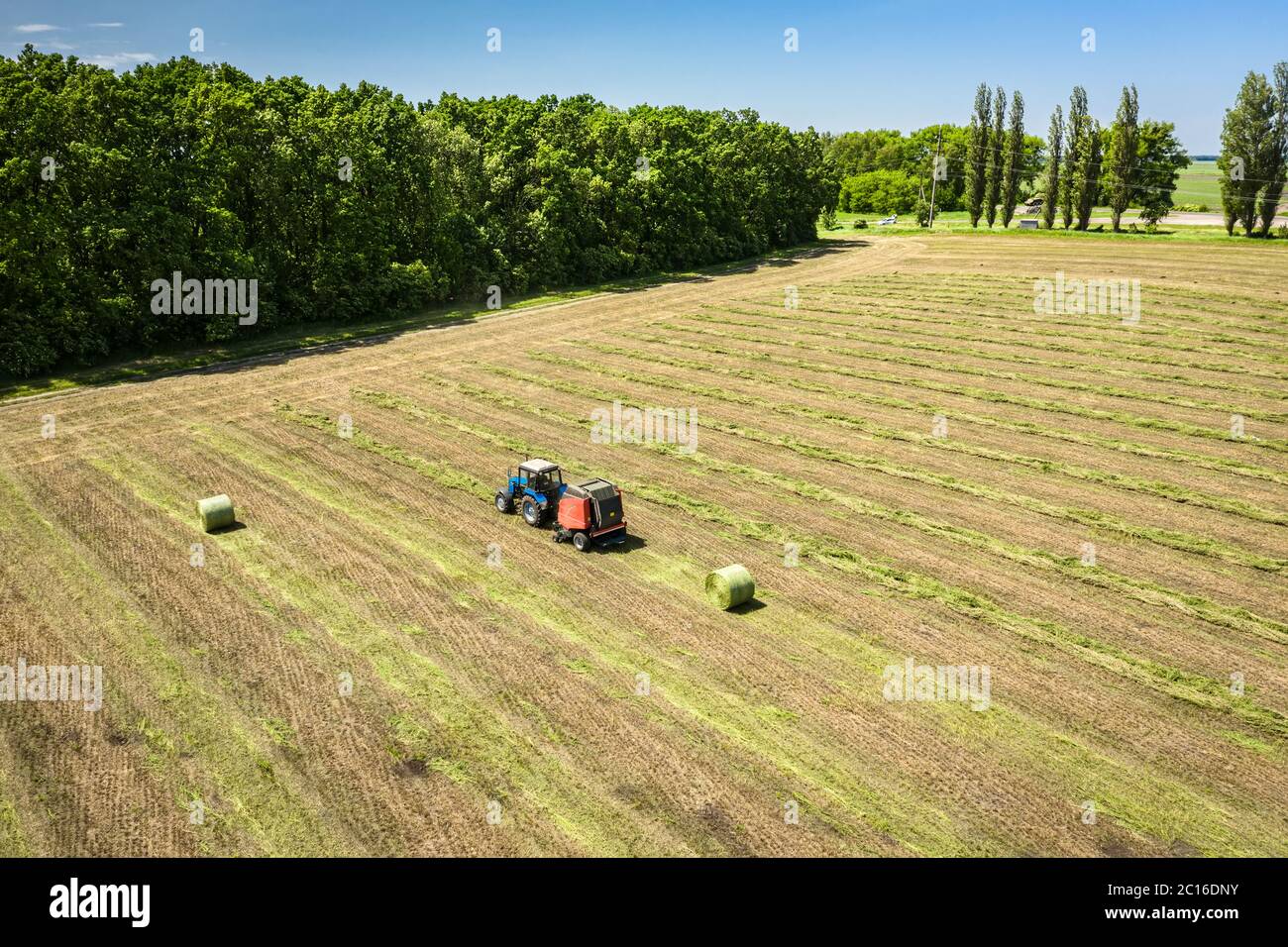 A tractor with a trailed bale making machine collects straw rolls in ...