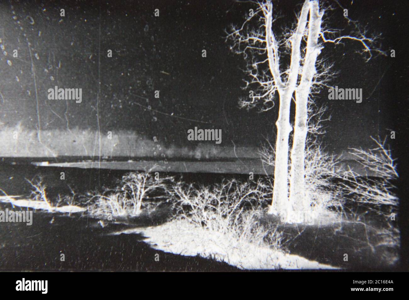 Fine 70s vintage black and white extreme photography of ghostly wild ...