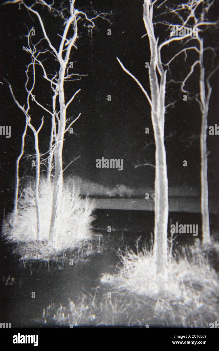 Fine 70s vintage black and white extreme photography of ghostly wild ...