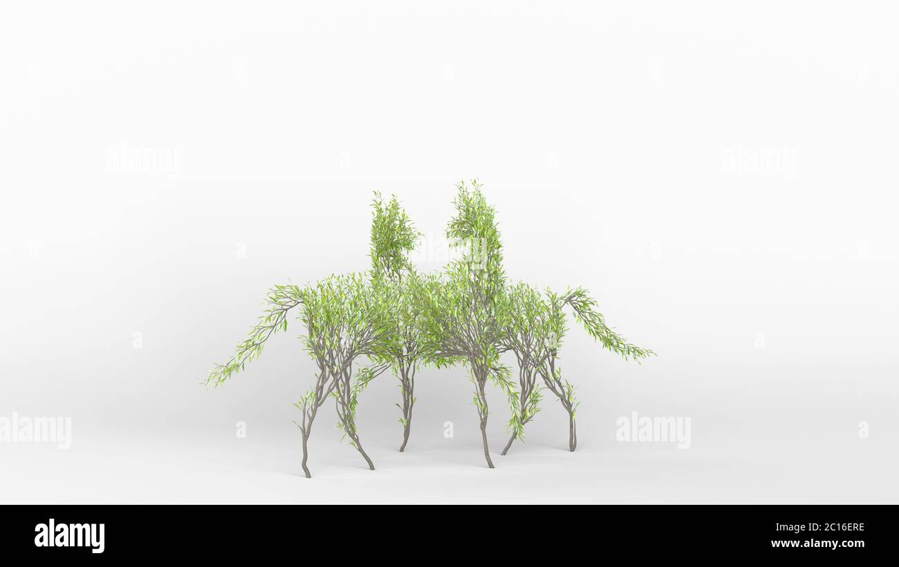 Growing Tree in a shape of Horse. Eco Concept. 3D rendering Stock Photo ...
