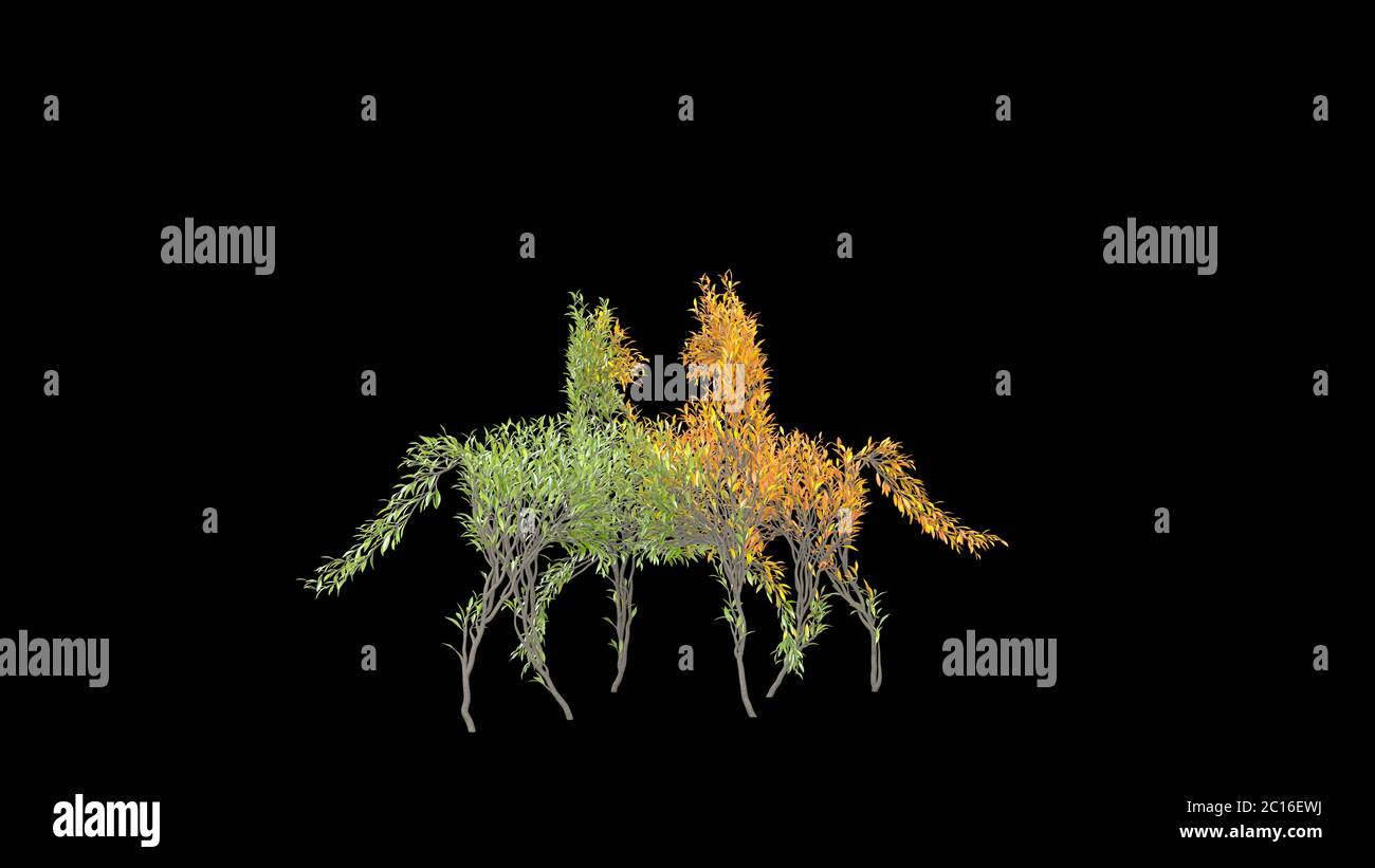 Growing Tree in a shape of Horse. Eco Concept. 3D rendering Stock Photo ...
