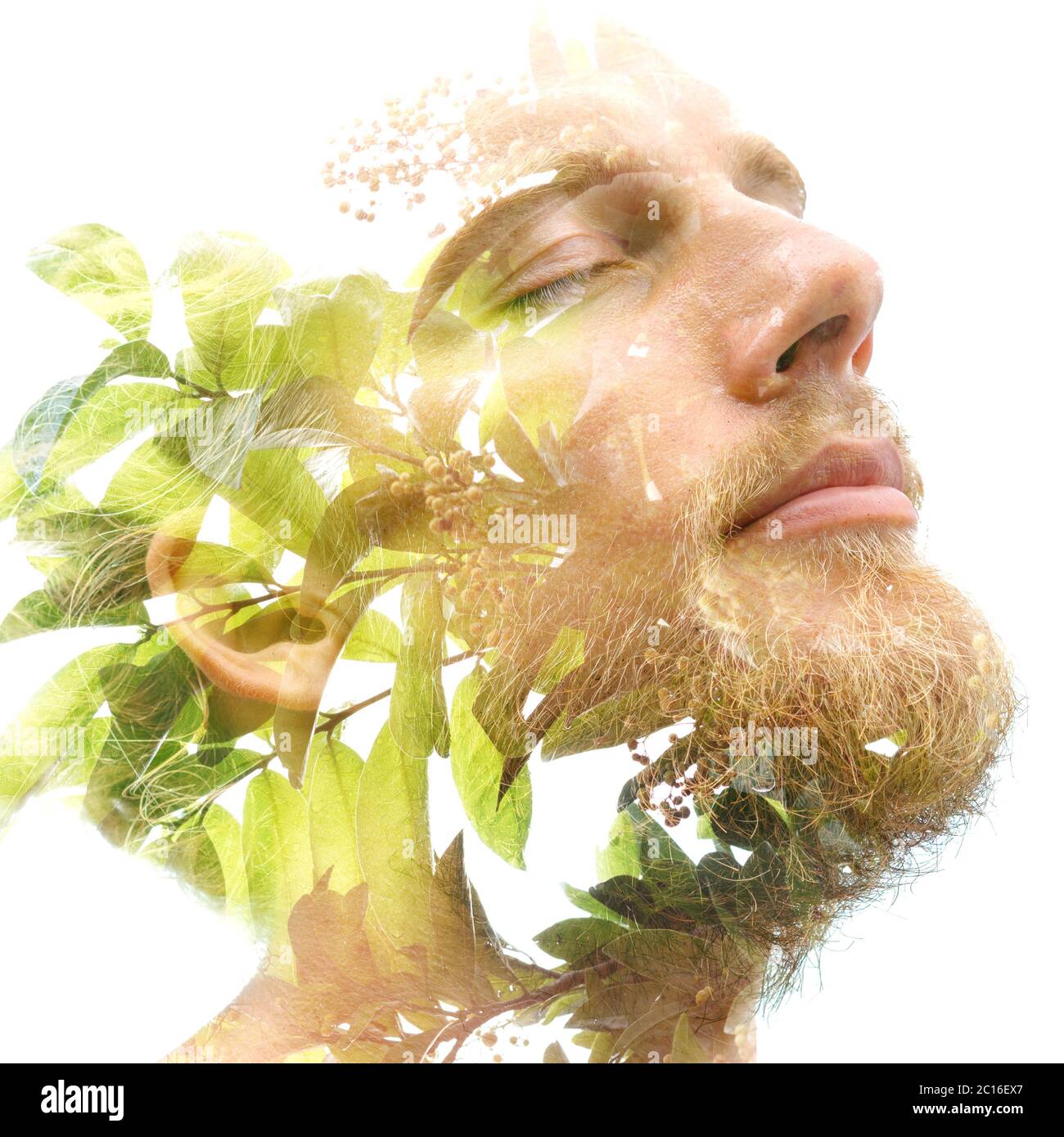 Surreal creative double exposure portrait Stock Photo - Alamy