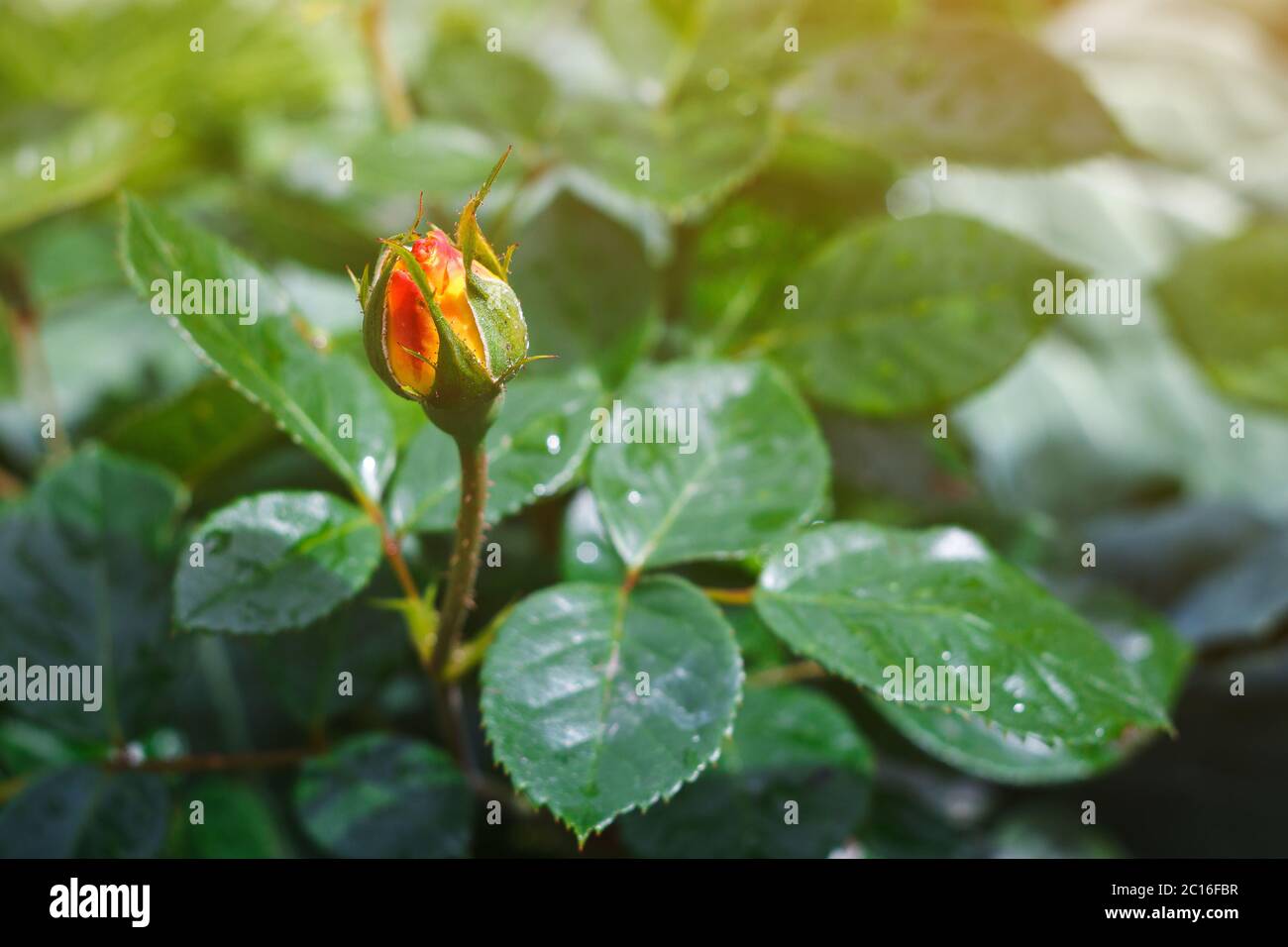 Unsolved hi-res stock photography and images - Alamy