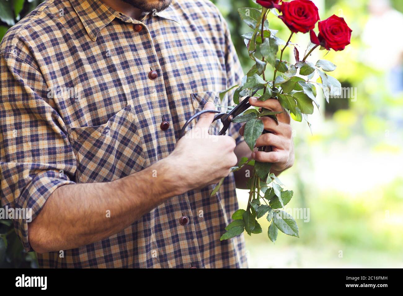 Cutting off hands hi-res stock photography and images - Alamy