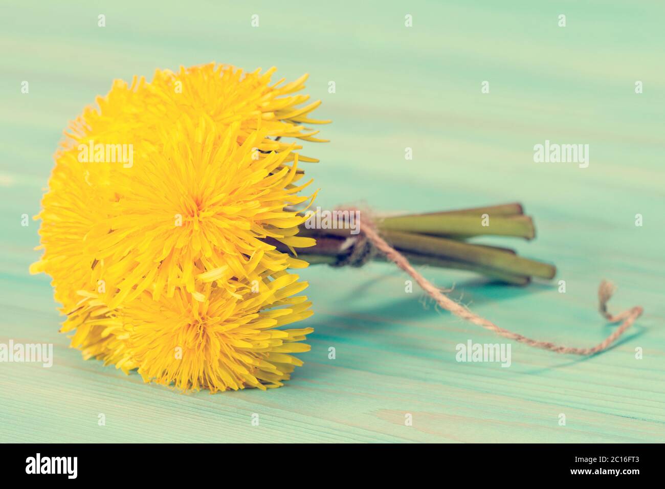Bunch of thistles hi-res stock photography and images - Alamy