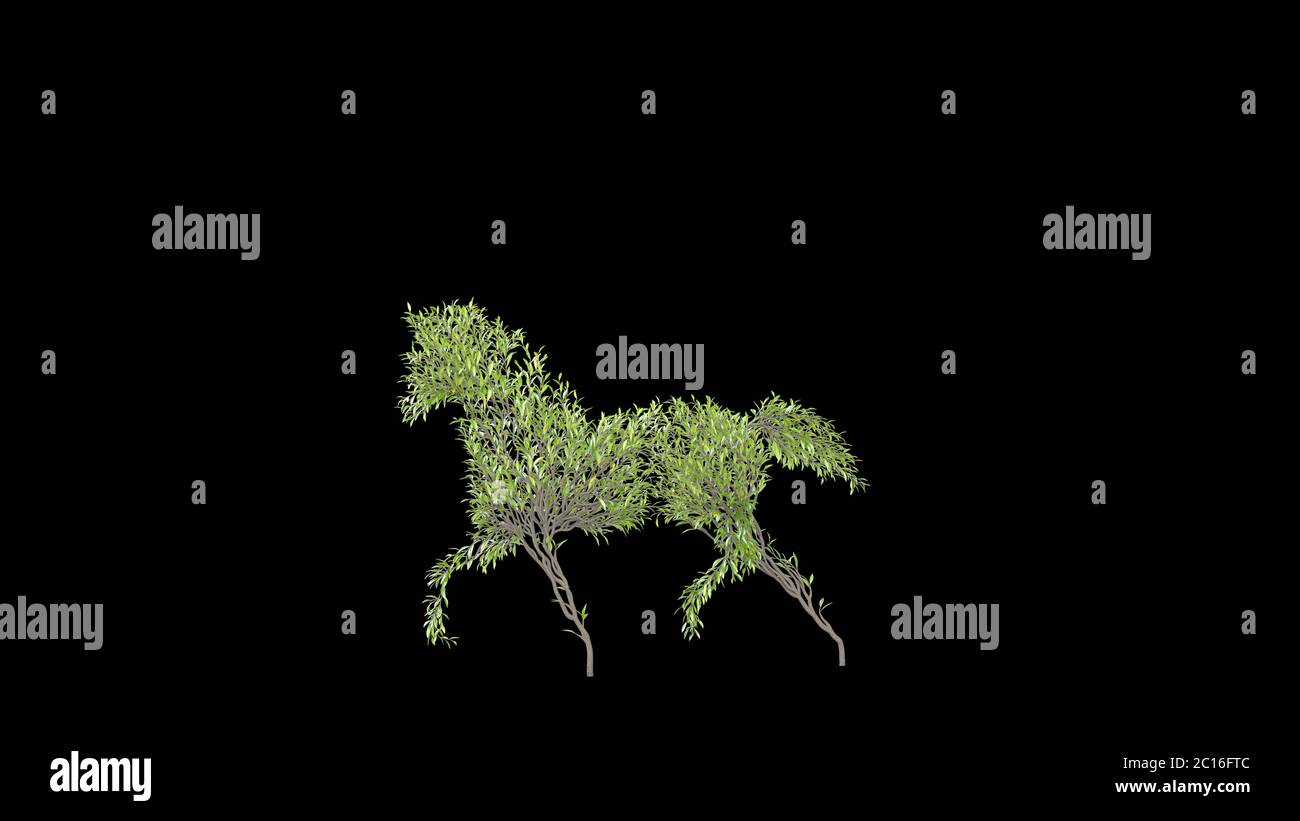 Growing Tree in a shape of Horse. Eco Concept. 3D rendering Stock Photo ...
