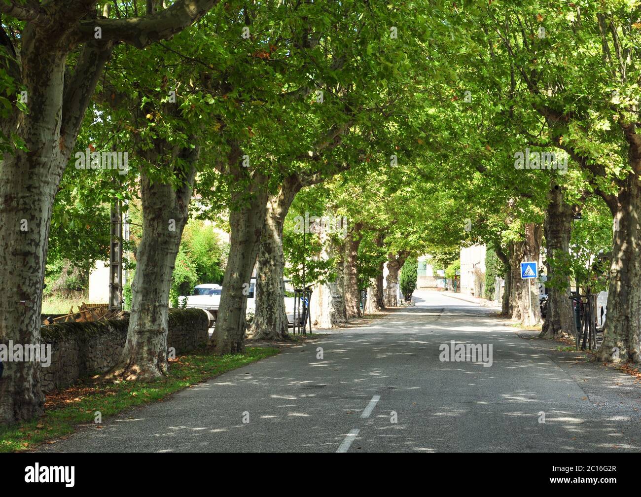 Plane trees line the quiet road in the village of Camon, Ariege ...