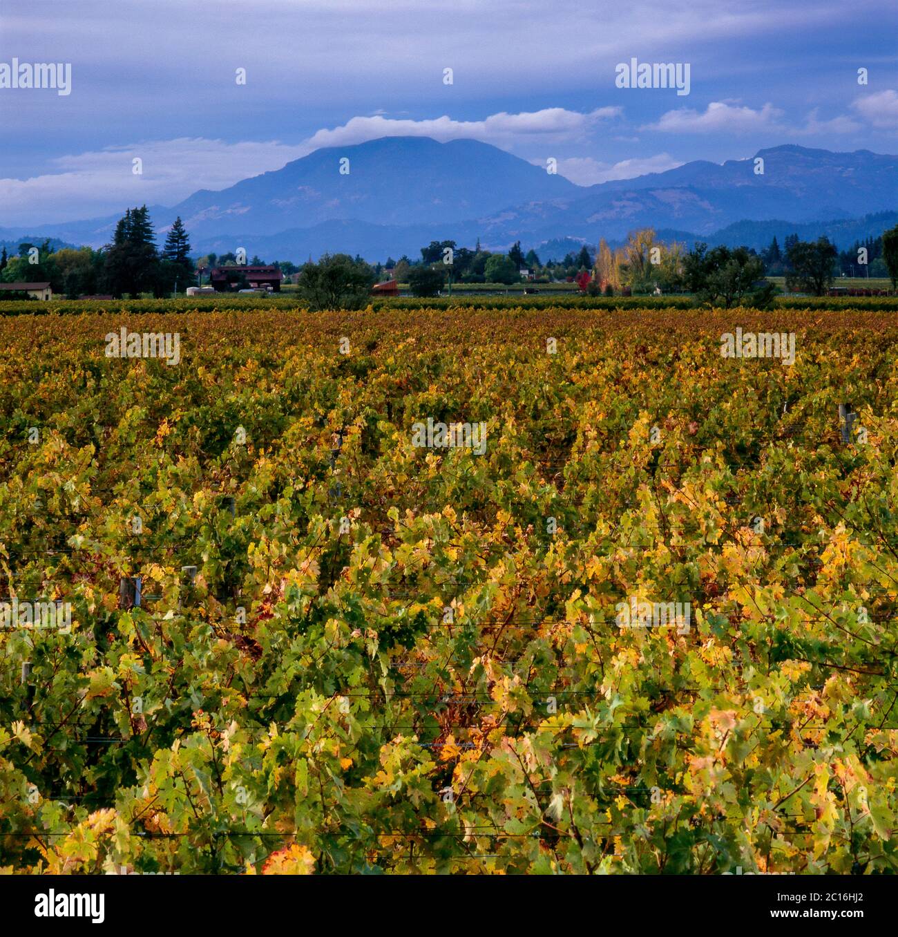Mt st helena napa hi-res stock photography and images - Alamy