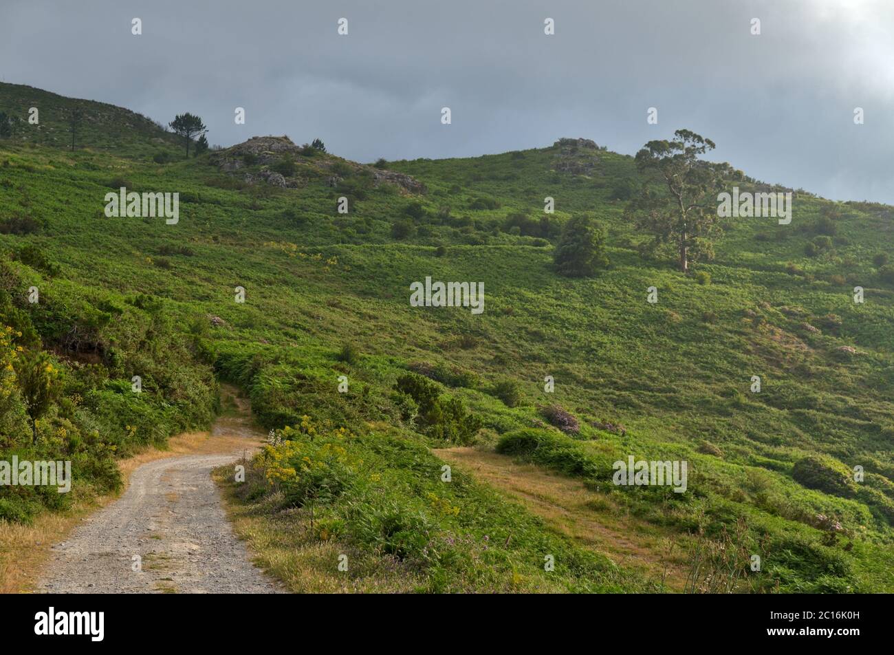 Foia algarve road hi-res stock photography and images - Alamy