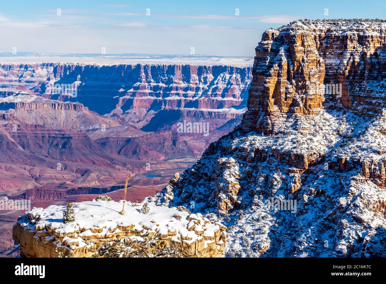 Grand Canyon in winter. View of snow covered mesa with small trees and ...