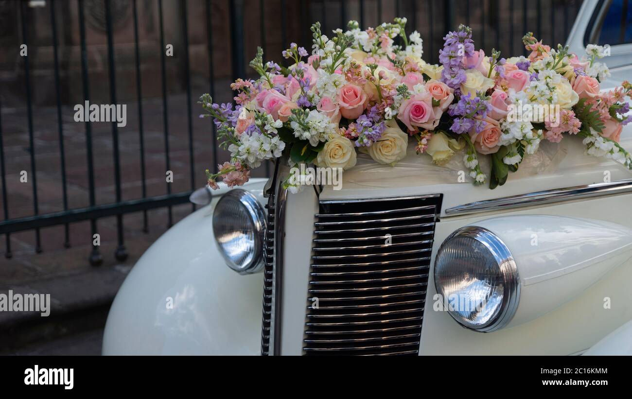 Luxury rose hi-res stock photography and images - Alamy