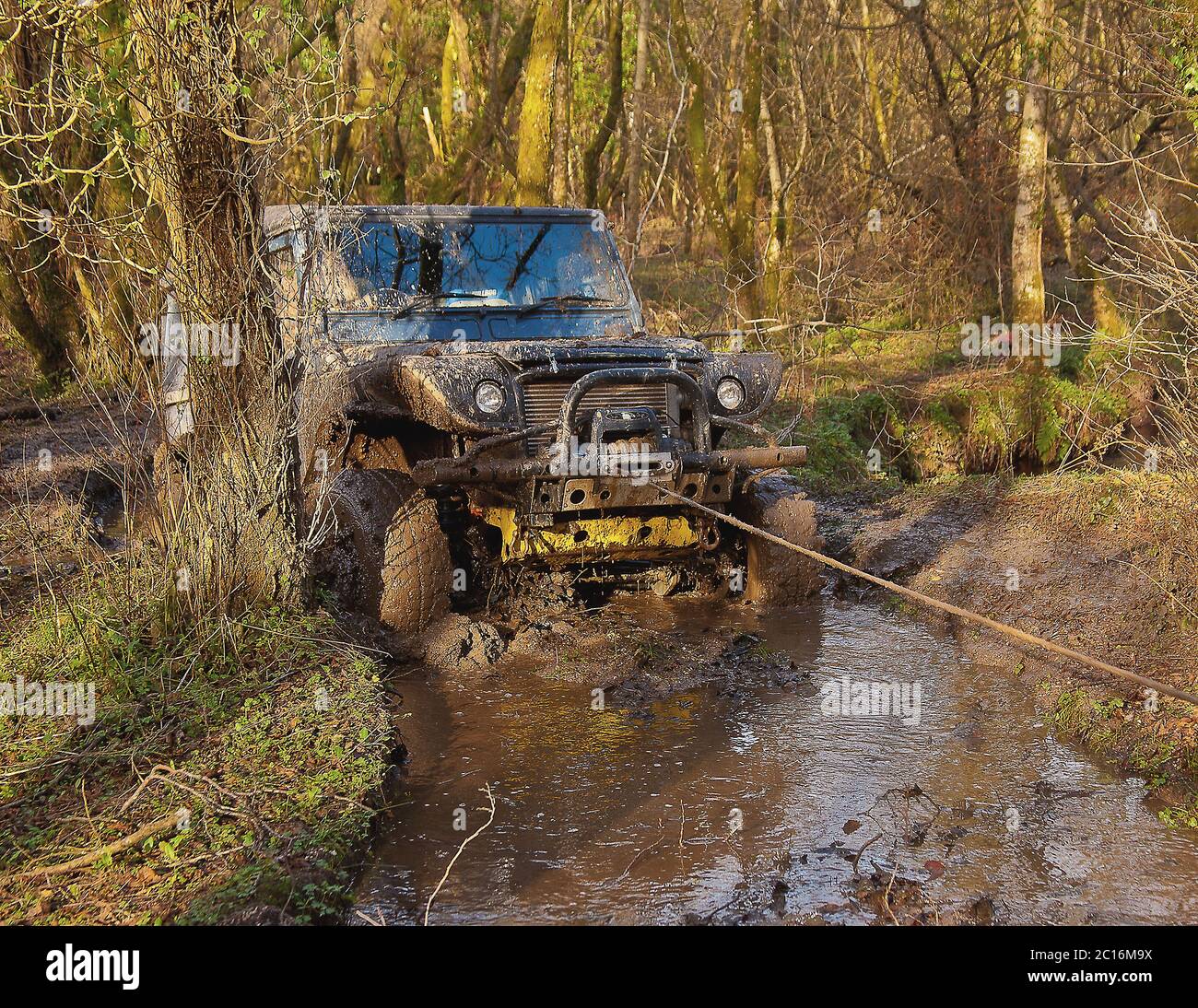 winching through the trees Stock Photo - Alamy