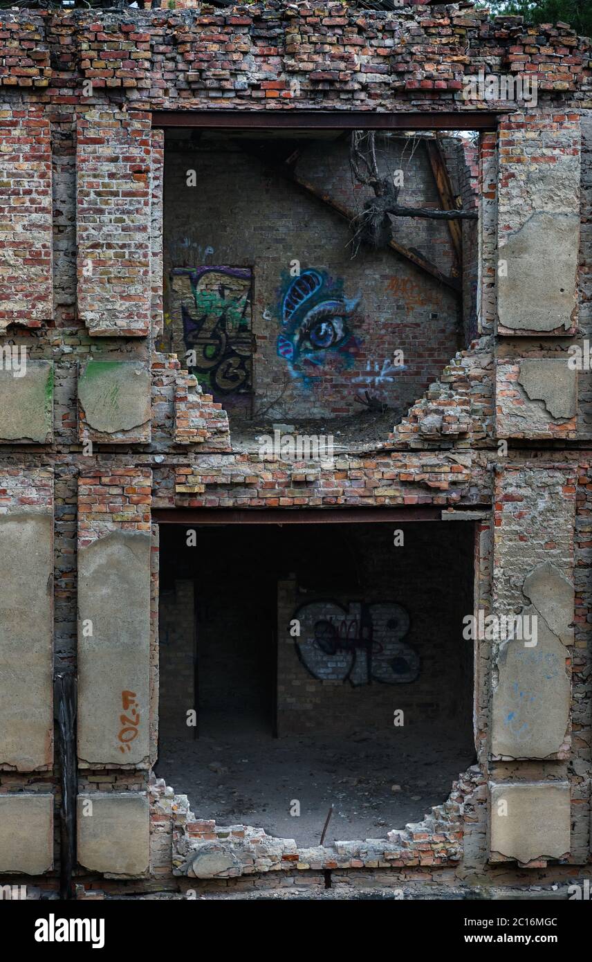 Ruin in the forest Stock Photo - Alamy