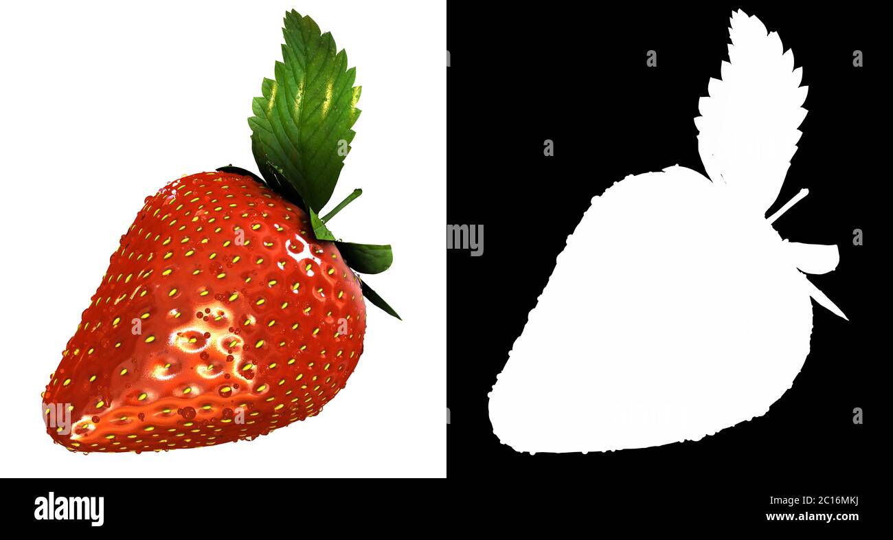 Strawberry fruit with condensed water and alpha channel - 3d ...
