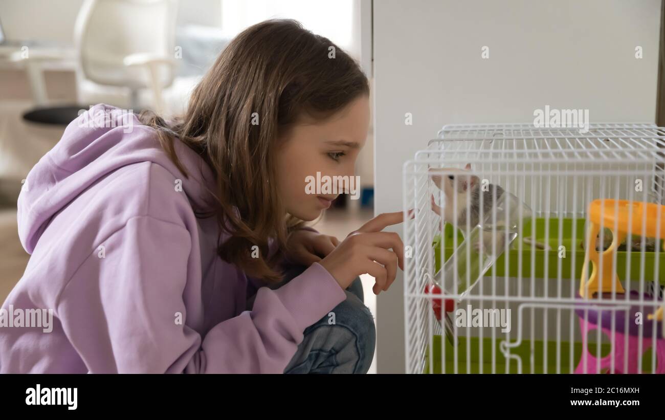 Teenage girl play with cute domesticated mouse at home Stock Photo - Alamy