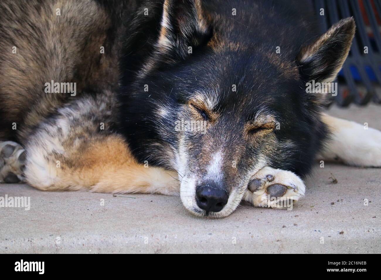 Summer naps hi-res stock photography and images - Alamy