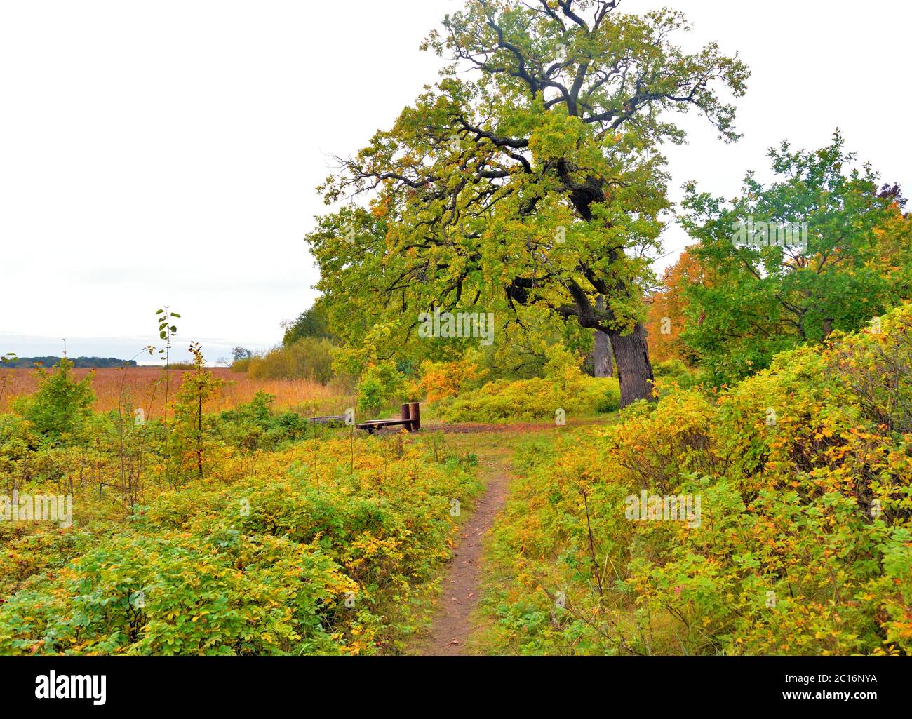 Early autumn landscape hi-res stock photography and images - Alamy