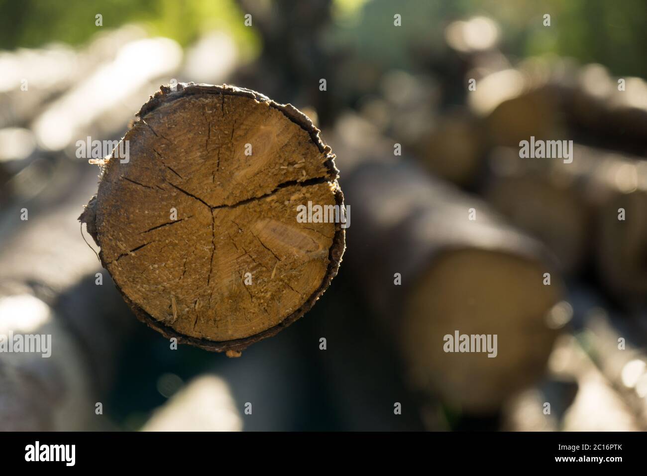 Woodpile wood structure hi-res stock photography and images - Alamy