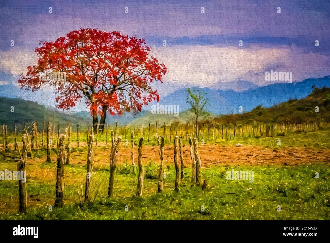Red tree and autumn landscape impression Stock Photo - Alamy