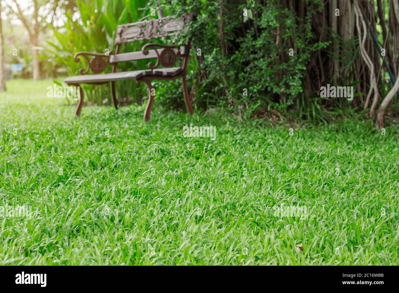 Chairs and grass hi-res stock photography and images - Alamy