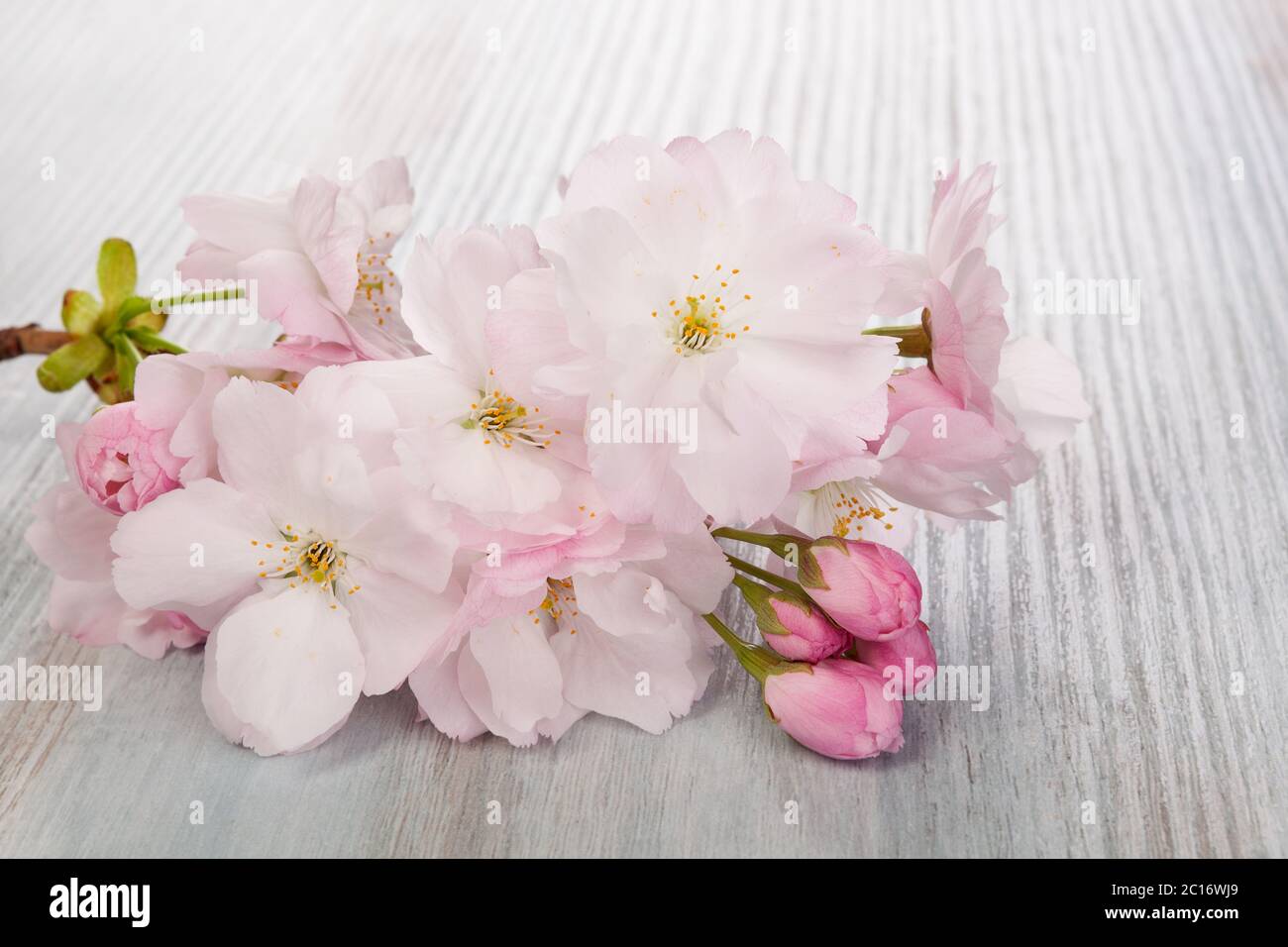 Romantic spring background Stock Photo - Alamy