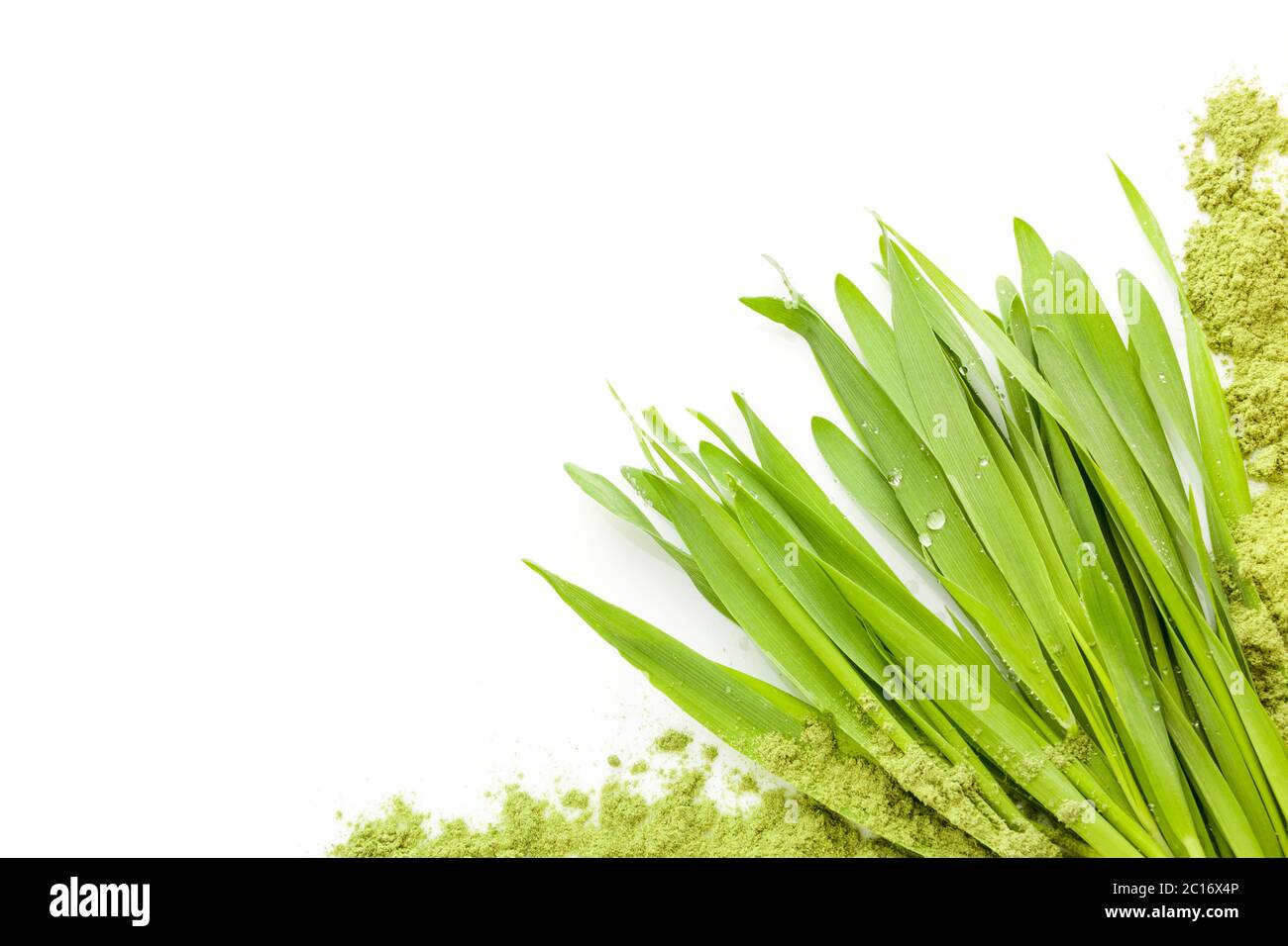 Barleygrass hi-res stock photography and images - Alamy