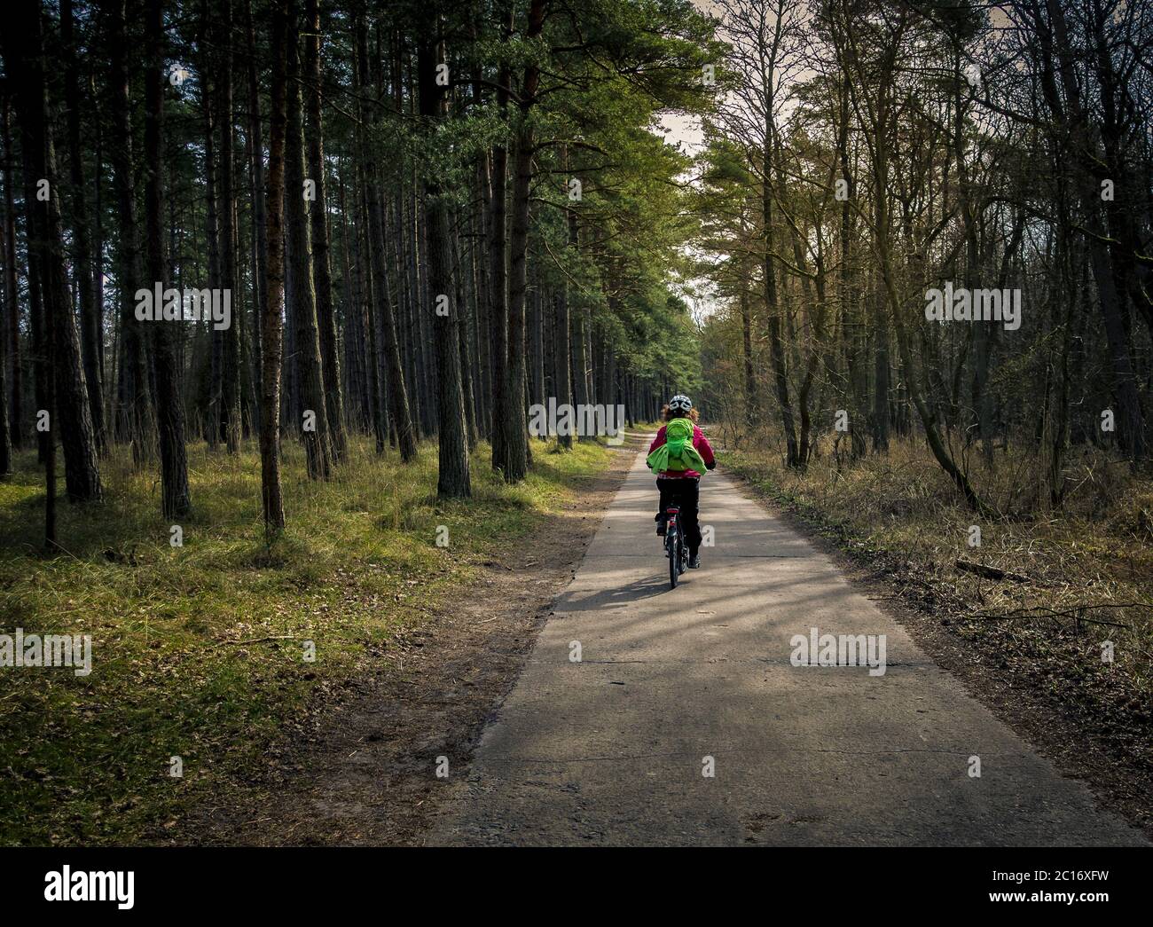 Cycle tour in the forest Stock Photo - Alamy