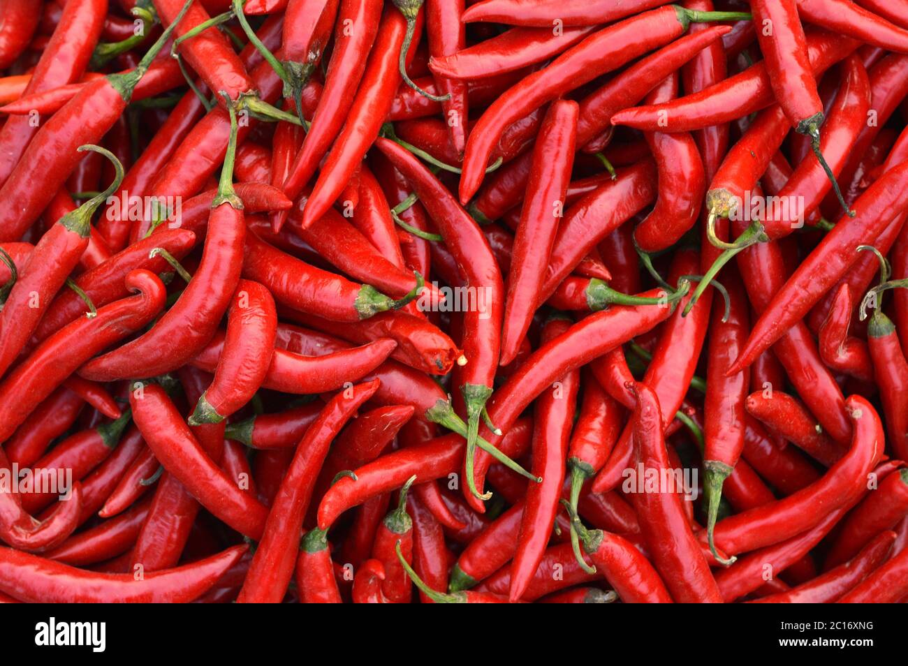 Big red chilli pepper in hi-res stock photography and images - Alamy