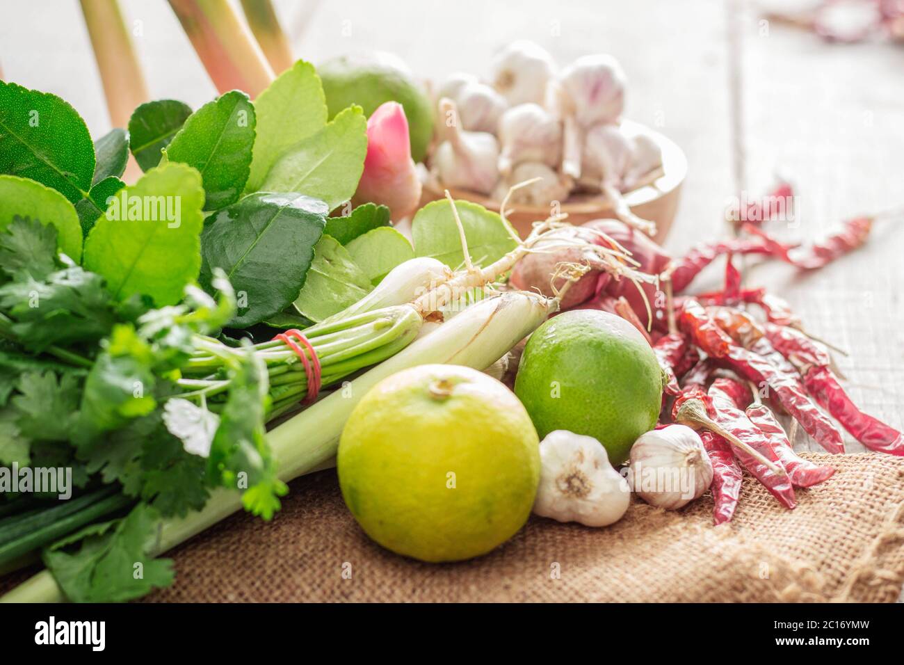 Curry plants hi-res stock photography and images - Alamy