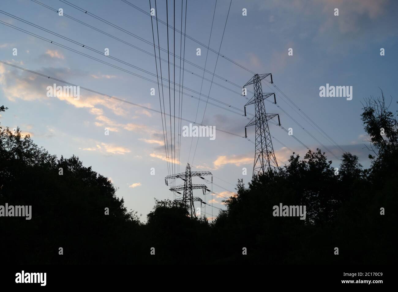 Pylons and power lines against dusk sunset sky with foliage bushes ...
