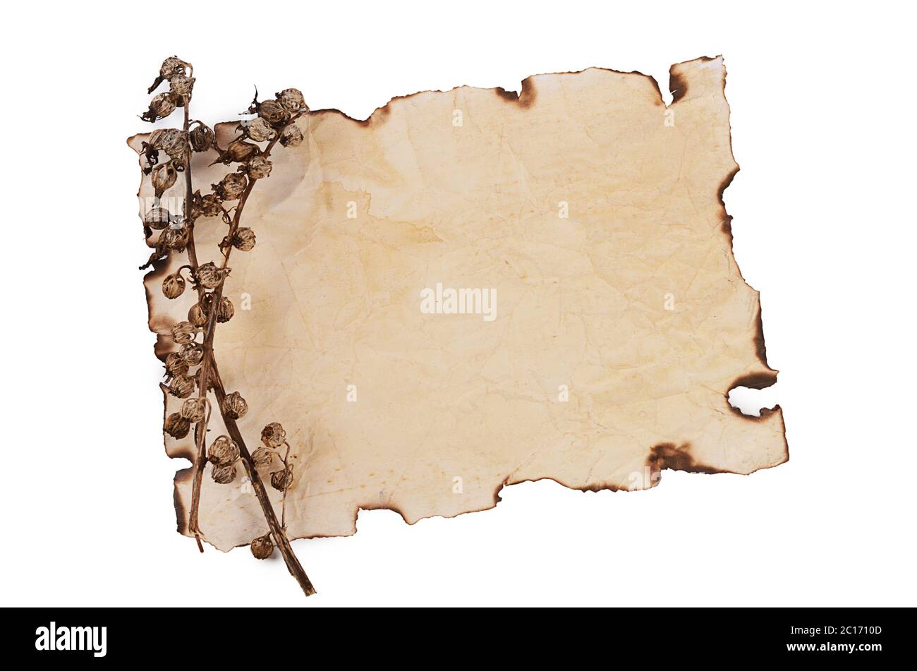 Old paper with the burned edges Stock Photo - Alamy